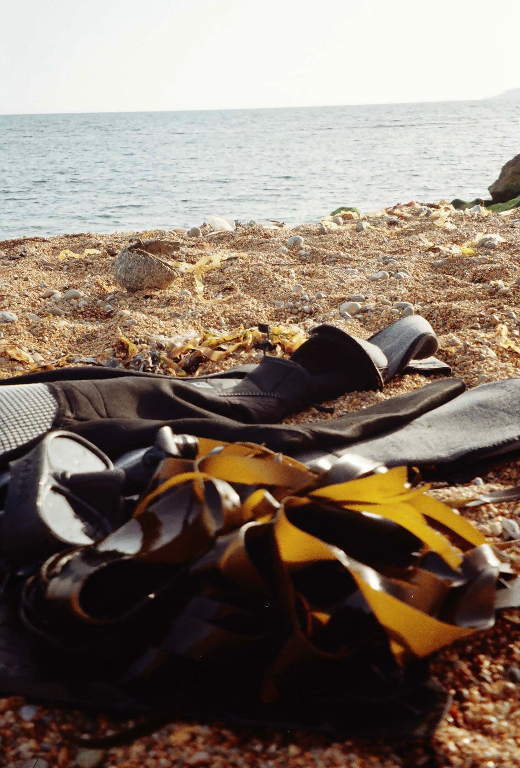 Why Seaweed is One of the World’s Most Sustainable Crops – Algee